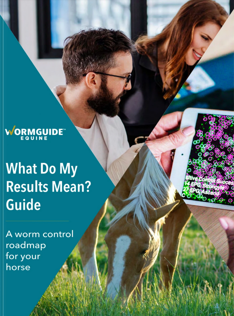 The Horse Worm Egg Count Test Technology | WormGuide Equine
