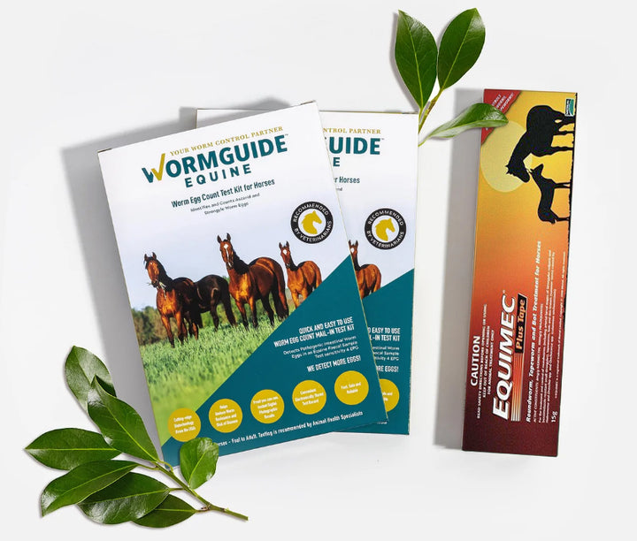 A Guide to Worming Your Horse: Signs & Treatment – WormGuide Equine