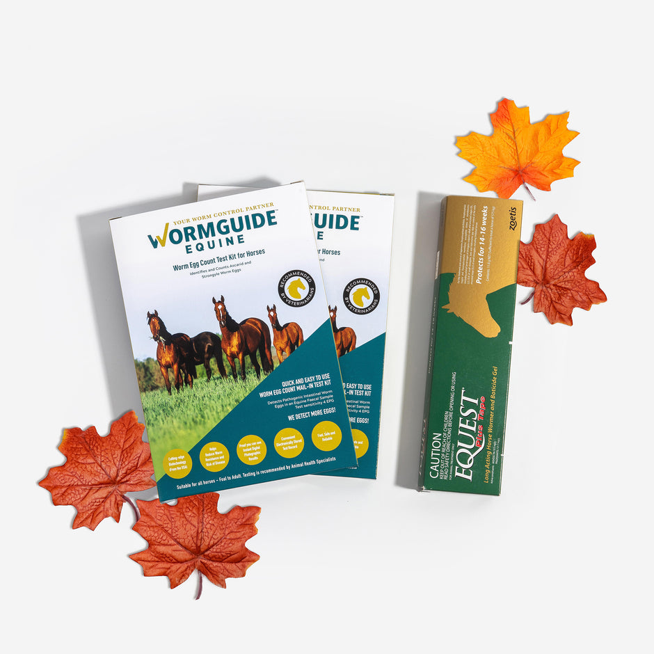 A Guide to Worming Your Horse: Signs & Treatment – WormGuide Equine